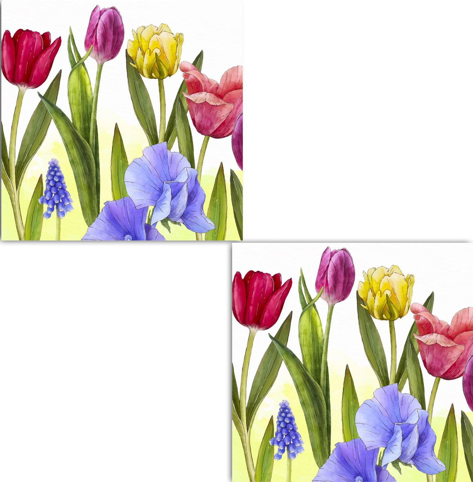 Tulip Tiles Floral Flowers Tile Tulips Design Two 6 X 6 - Etsy