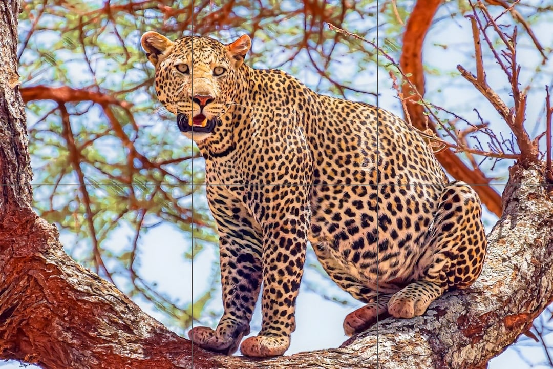 Tile Mural/mosaic Ceramic Panel of Leopard -leopard Wall Print -leopard ...