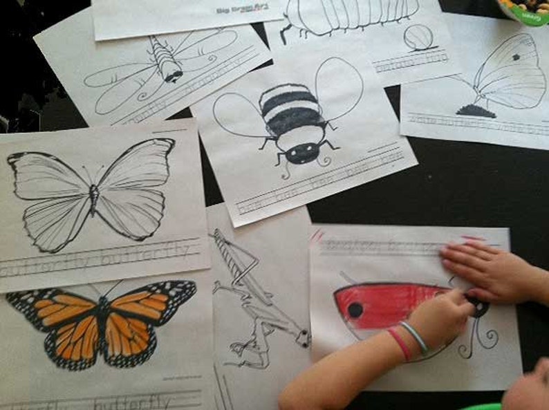 Summer Bugs Coloring Book 9 Coloring Pages | Etsy
