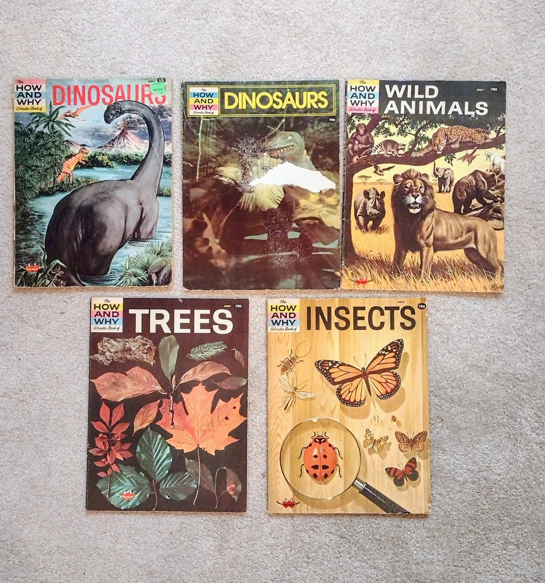 Vintage How and Why Wonder Books, Set of 5, Dinosaurs, Insects, Trees ...