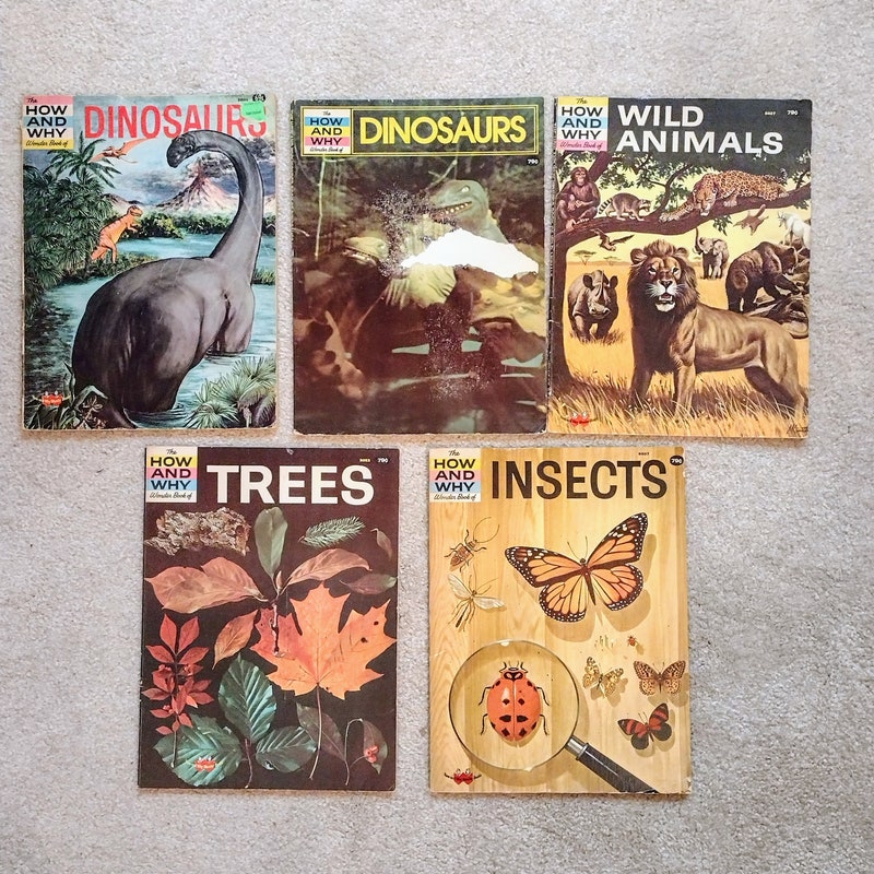 Wonder Books - Etsy
