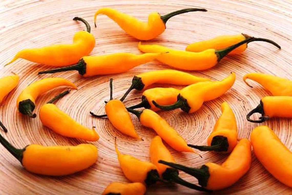 Organic YELLOW CHILLI POWDER Ground Yellow Chilli Pilli | Etsy