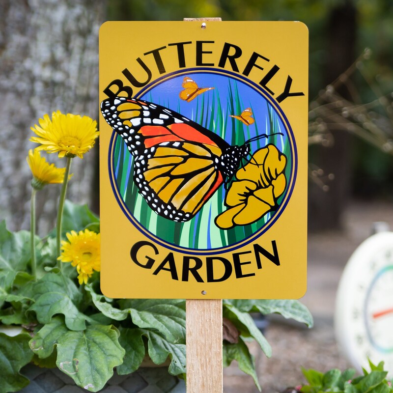 Butterfly Garden - Etsy