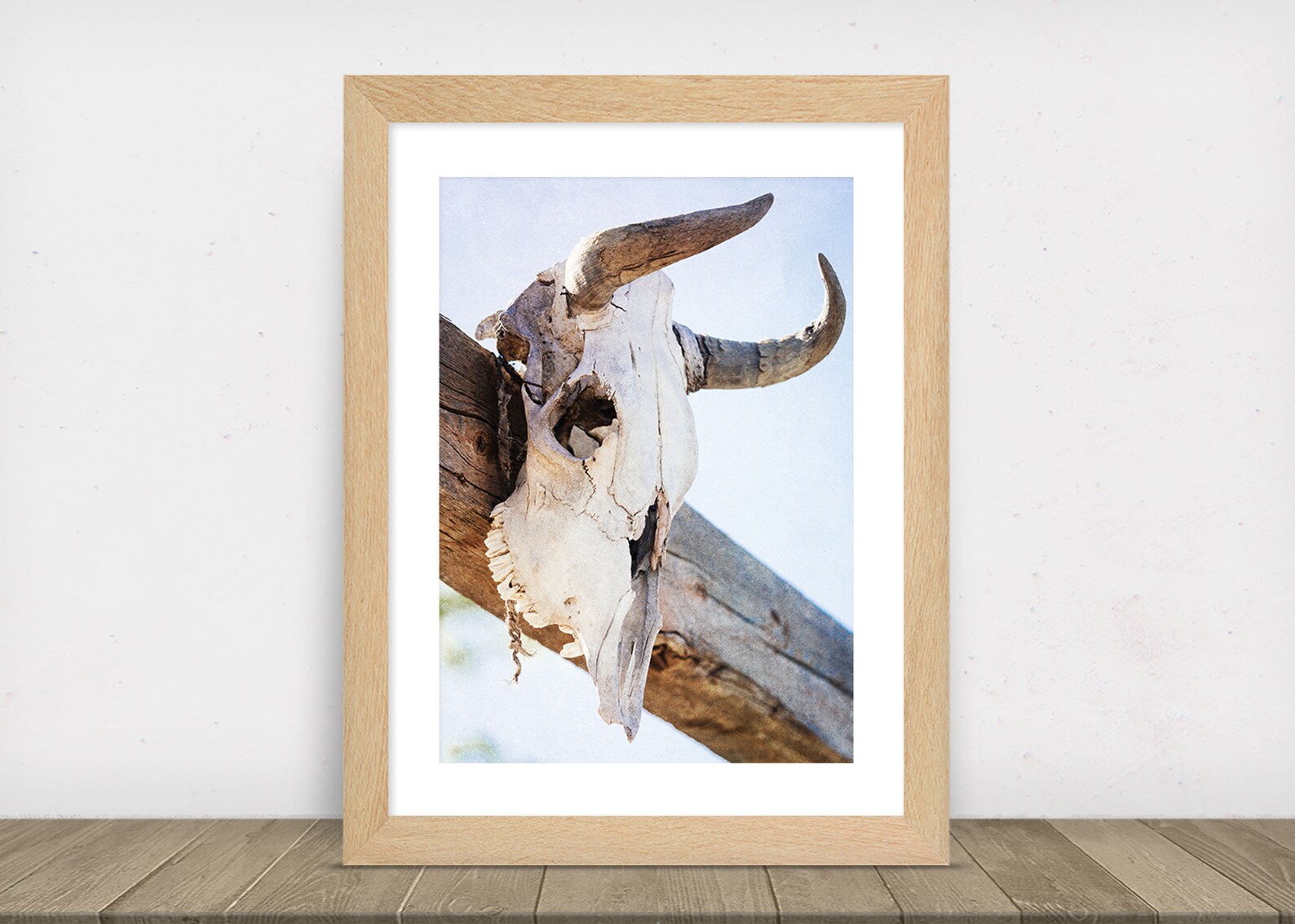 Cow Skull Photography, Cow Skull Wall Art, Cow Skull Art Print, Cow ...
