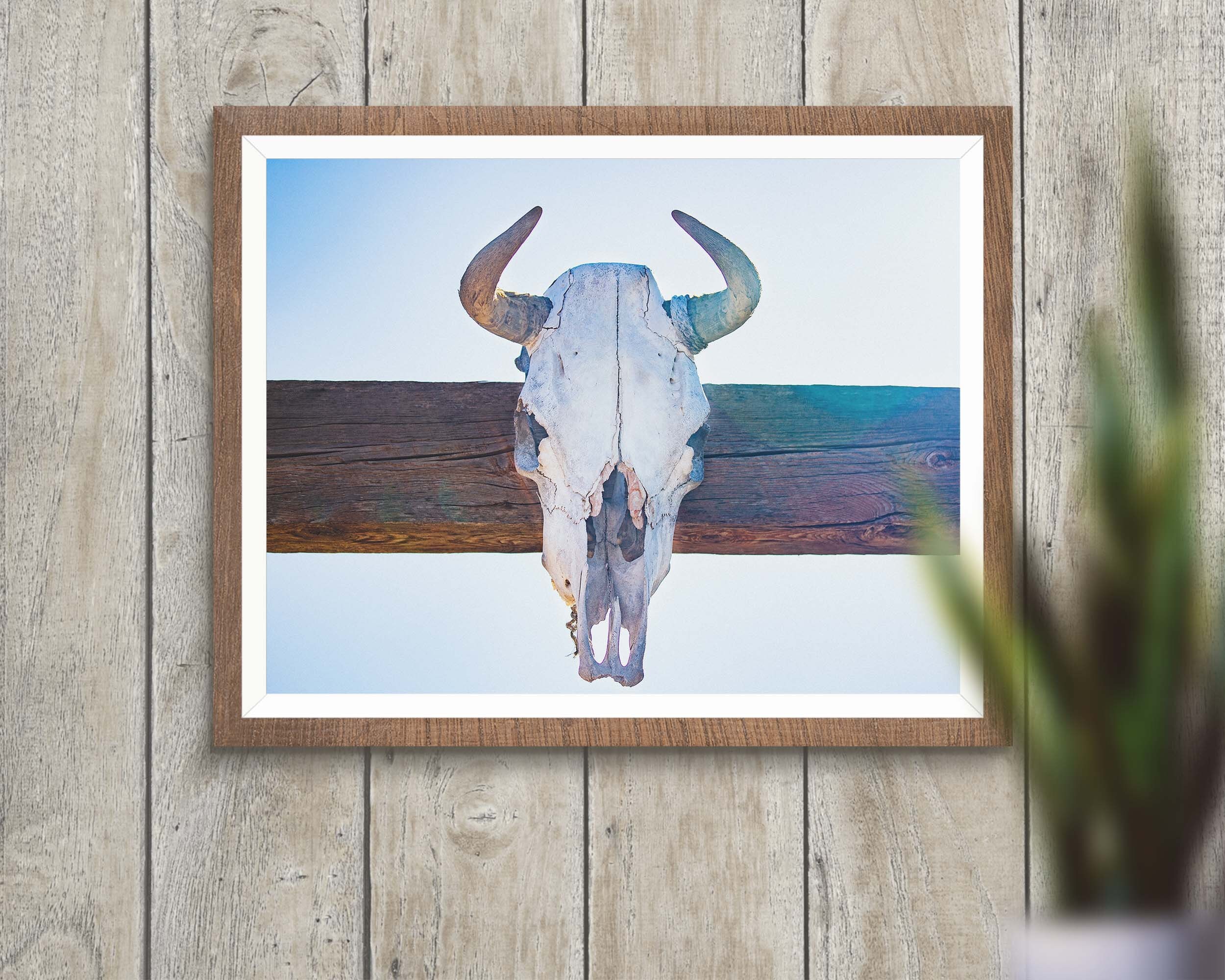 Cow Skull Wall Art Cow Skull Art Print Cow Skull Decor Cow - Etsy