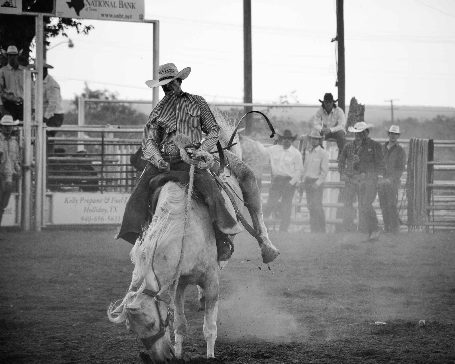Rodeo Cowboy Wall Art, Rodeo Photography, Cowboy Photography, Rodeo ...