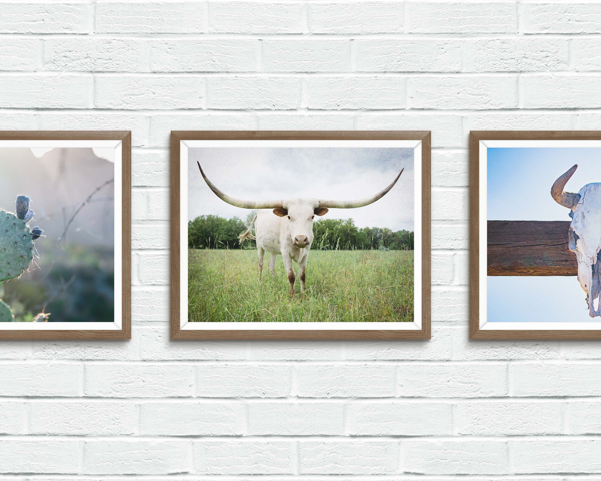 Texas Longhorn Photography, Texas Longhorn Art Print, Longhorn Decor ...