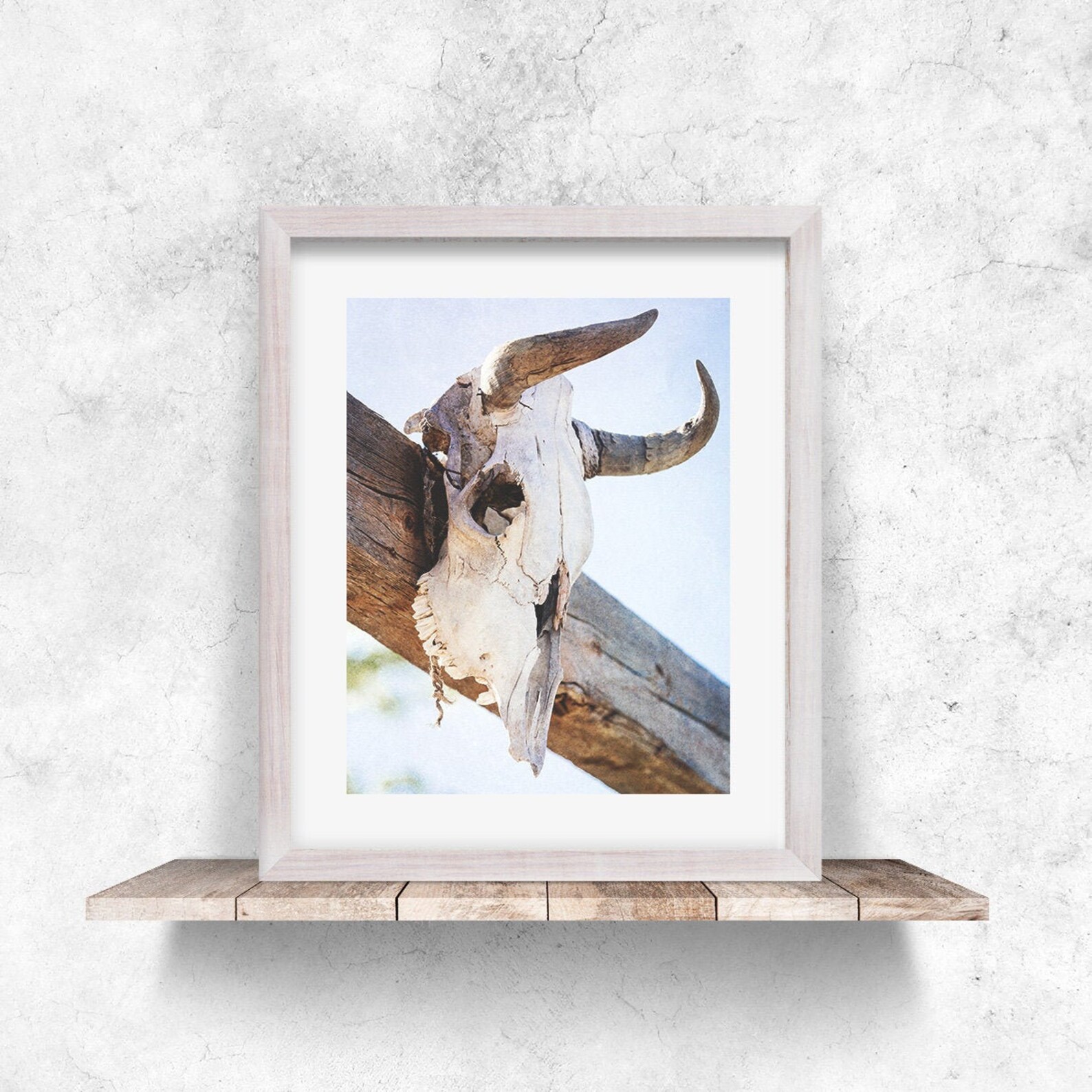 Cow Skull Photography, Cow Skull Wall Art, Cow Skull Art Print, Cow ...