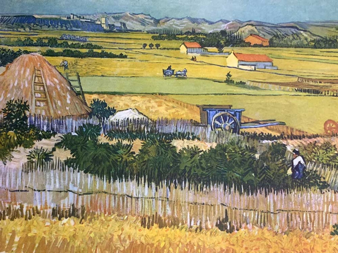 Vincent Van GOGH Lithograph Ltd. Ed. vegetable - Etsy