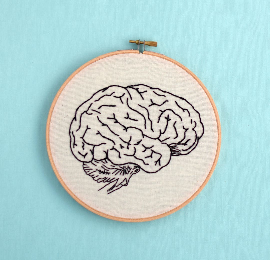 Anatomically Correct, Medical Textbook, Brain Diagram, Brain Art ...