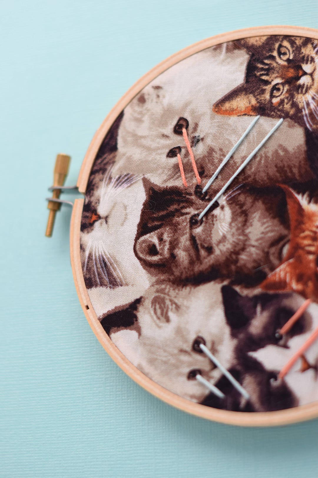 Laser Cats Embroidery Hoop, Funny Cat Fabric Wall Decor - Etsy