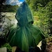 Hooded Leaf Cape - Renaissance Faire Capelet W/ Elven Woodland Style ...