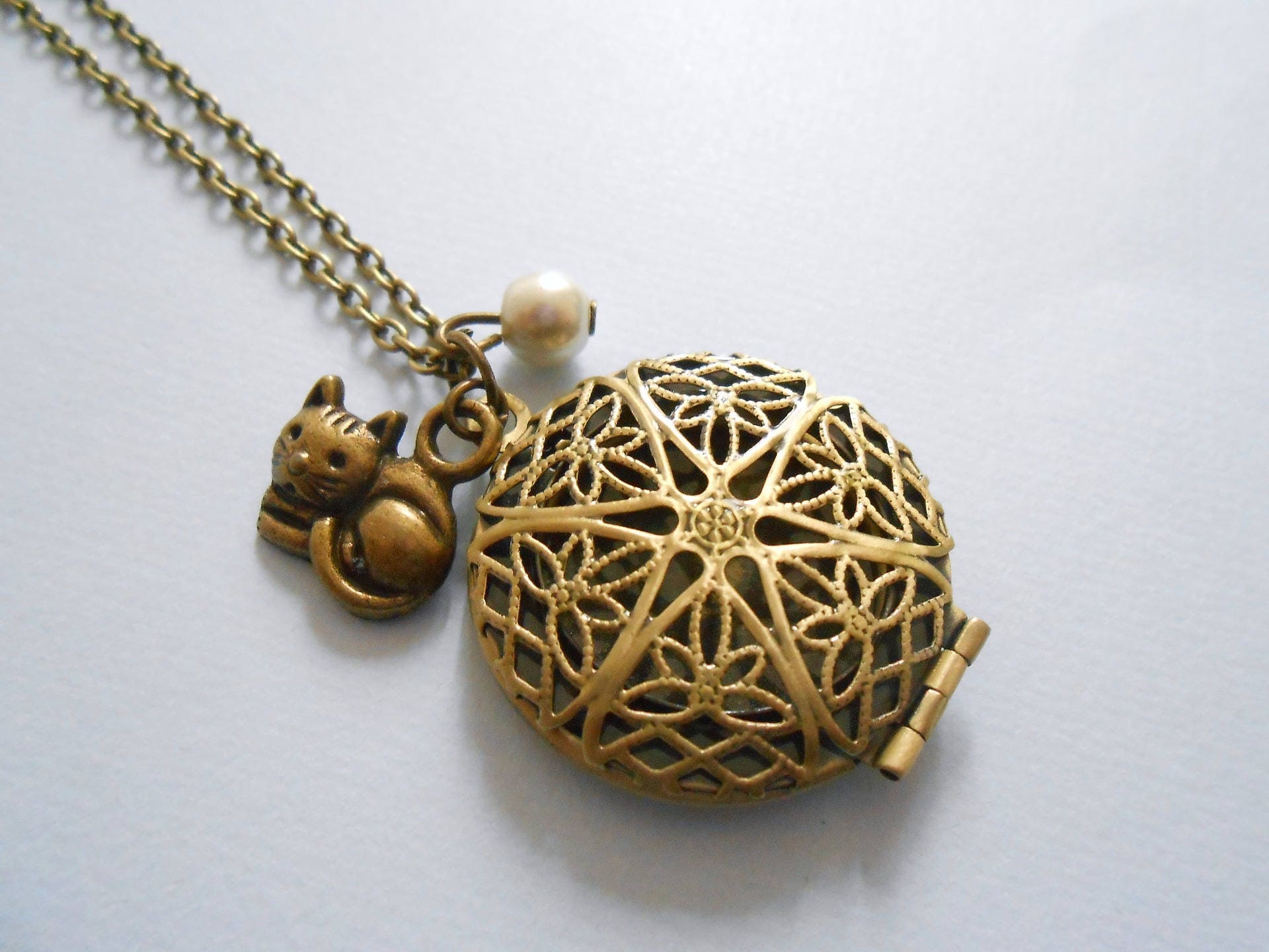 Locket Necklace Cat Necklace Photo Medallion Necklace Cat - Etsy