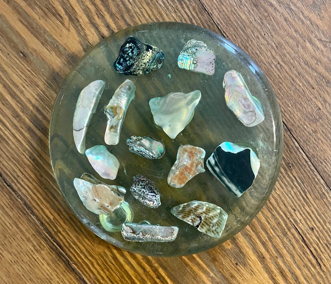 Lucite Abalone Shell Seashell Trivet Plant Stand by Unique Designs ...
