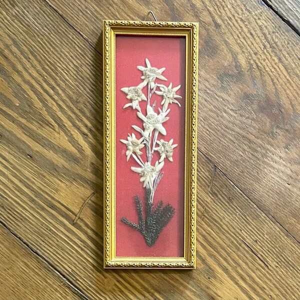 Edelweiss Wall Art - Etsy
