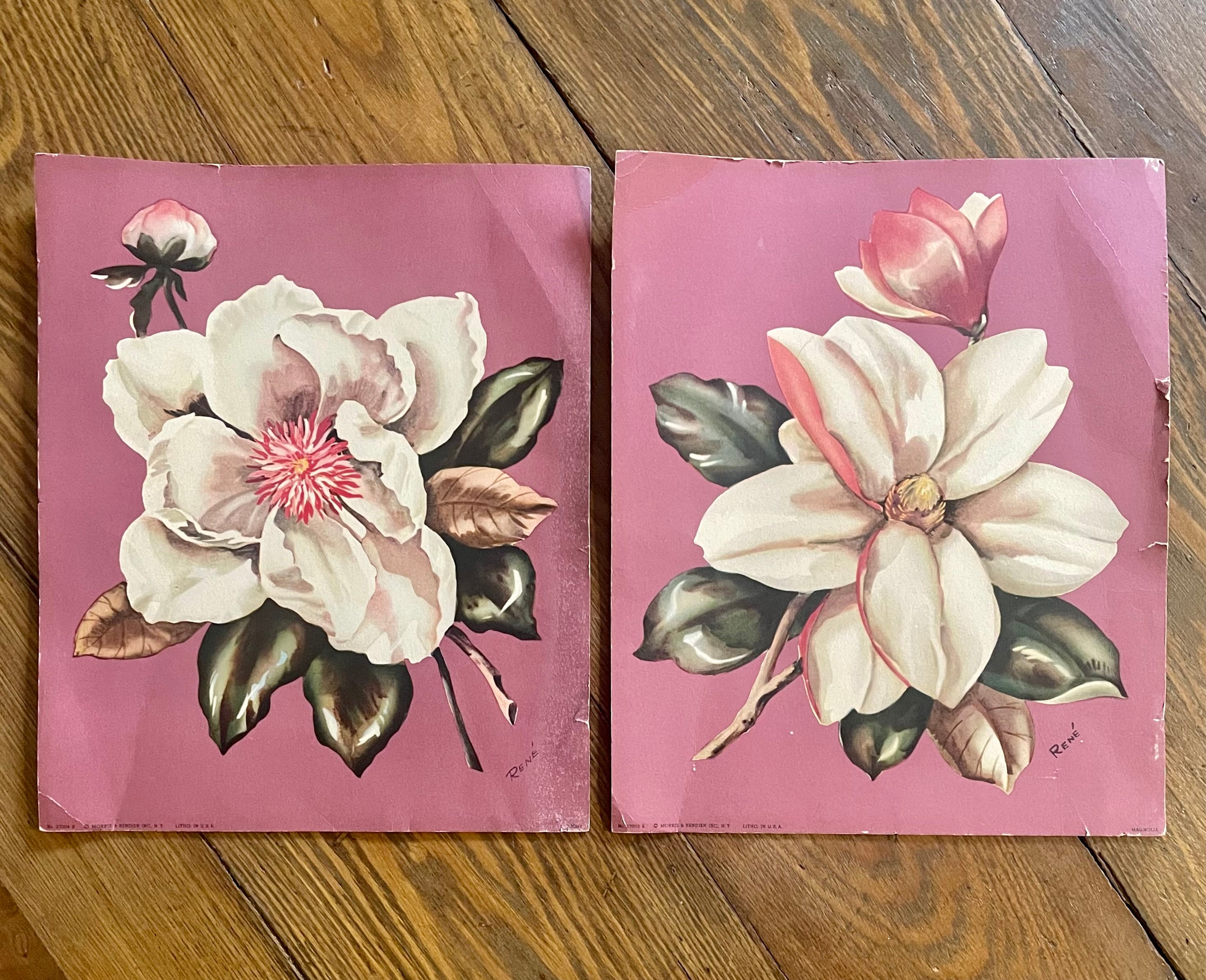 Rene Paintings Flowers