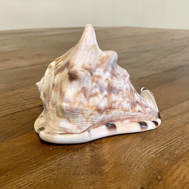 King of the Sea - Etsy