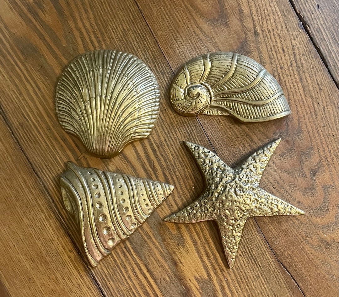 Set of 4 Brass Seashell Shell Wall Plaques Beach House - Etsy