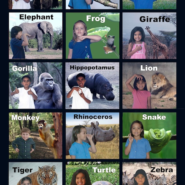 Zoo Animal Signs - Etsy