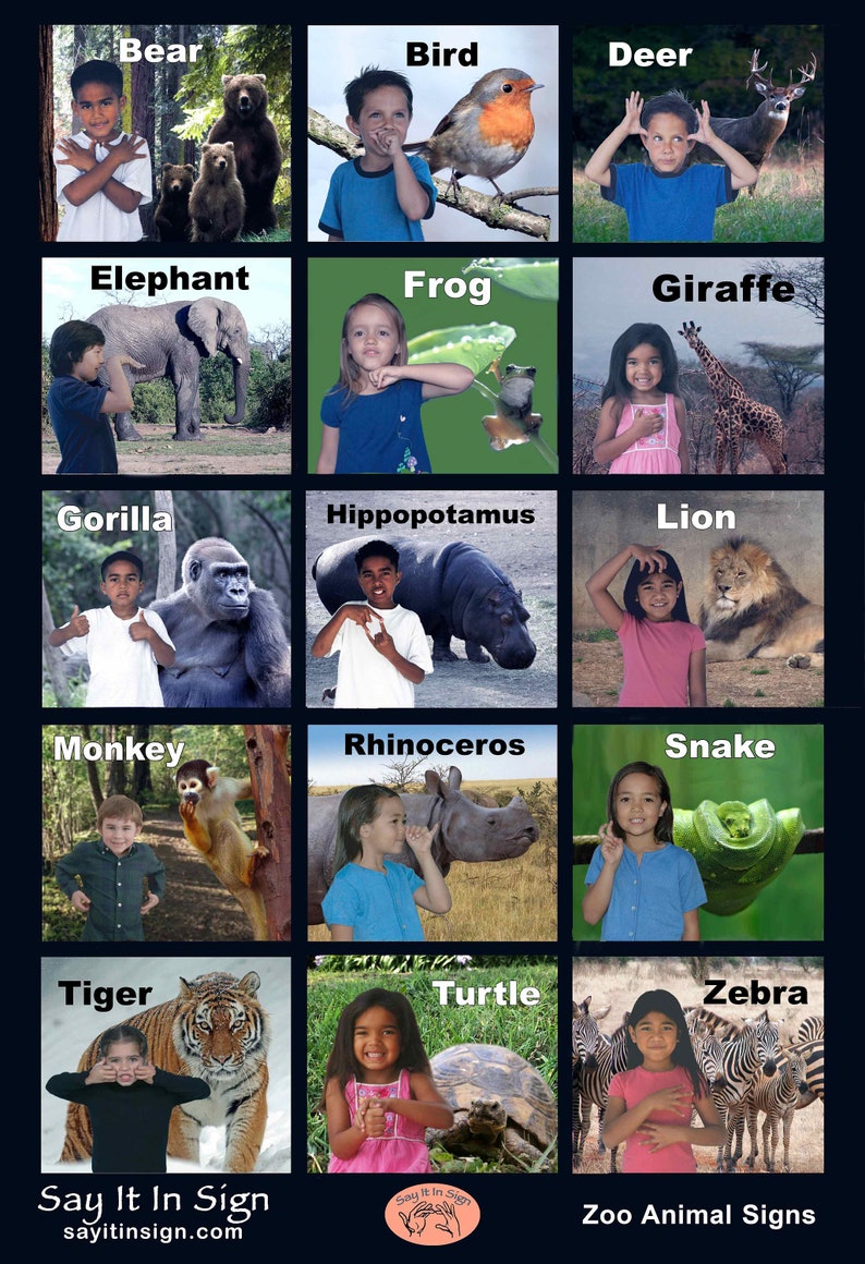 Zoo Animal Signs - ASL Lenticular Poster, Zoo Poster, Animal Sign ...