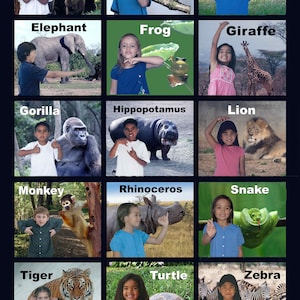 Zoo Animal Signs - ASL Lenticular Poster, Zoo Poster, Animal Sign ...