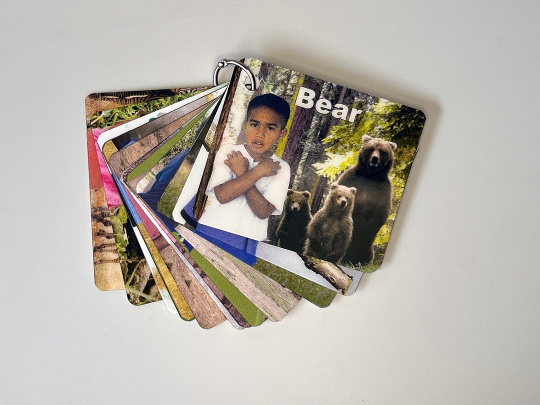 Zoo Animal ASL Flashcards, Zoo Cards, Zoo Animals, Animal Sign Language ...