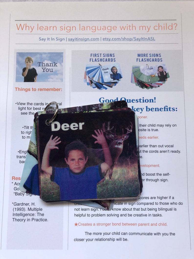 Zoo Animal ASL Flashcards Zoo Cards Zoo Animals Animal Sign - Etsy