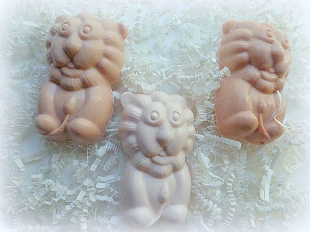 2 Lion Soap Bars, Lions, Gifts, Children, Special Occasions, Birthdays ...