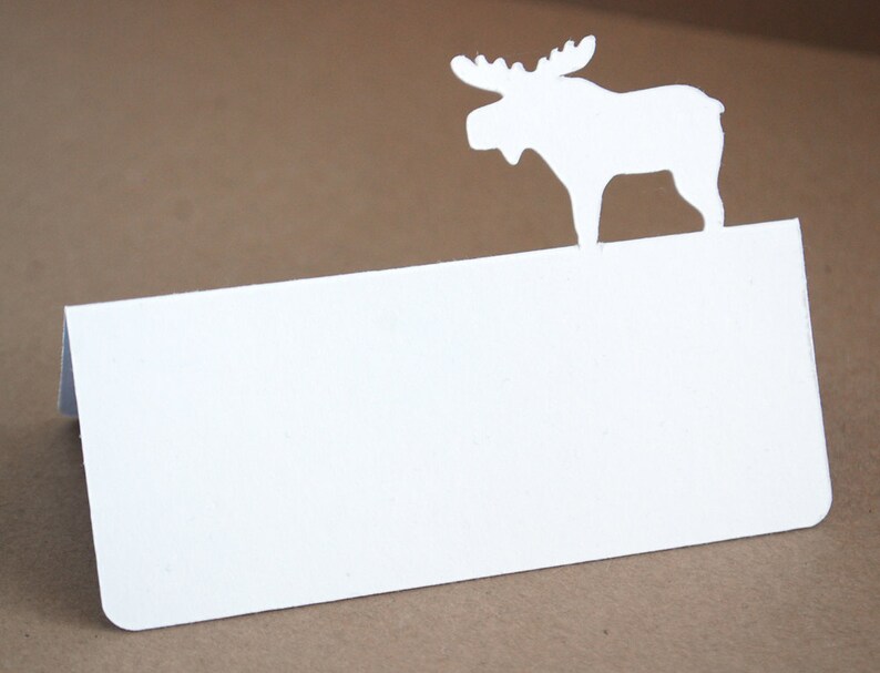 Woodlands Forest Animals Place / Name Cards Set of 24 - Etsy