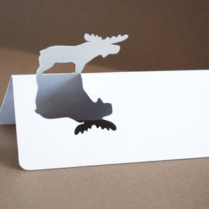 Woodlands Forest Animals Place / Name Cards Set of 24 - Etsy