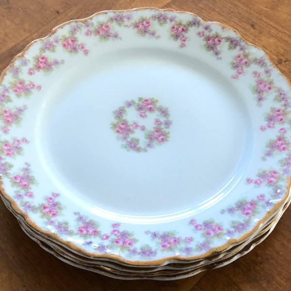 Limoges China Plates - Etsy