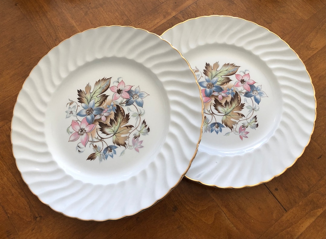 Swinnertons Royal Wessex White Ironstone Set of Two Luncheon Plates ...