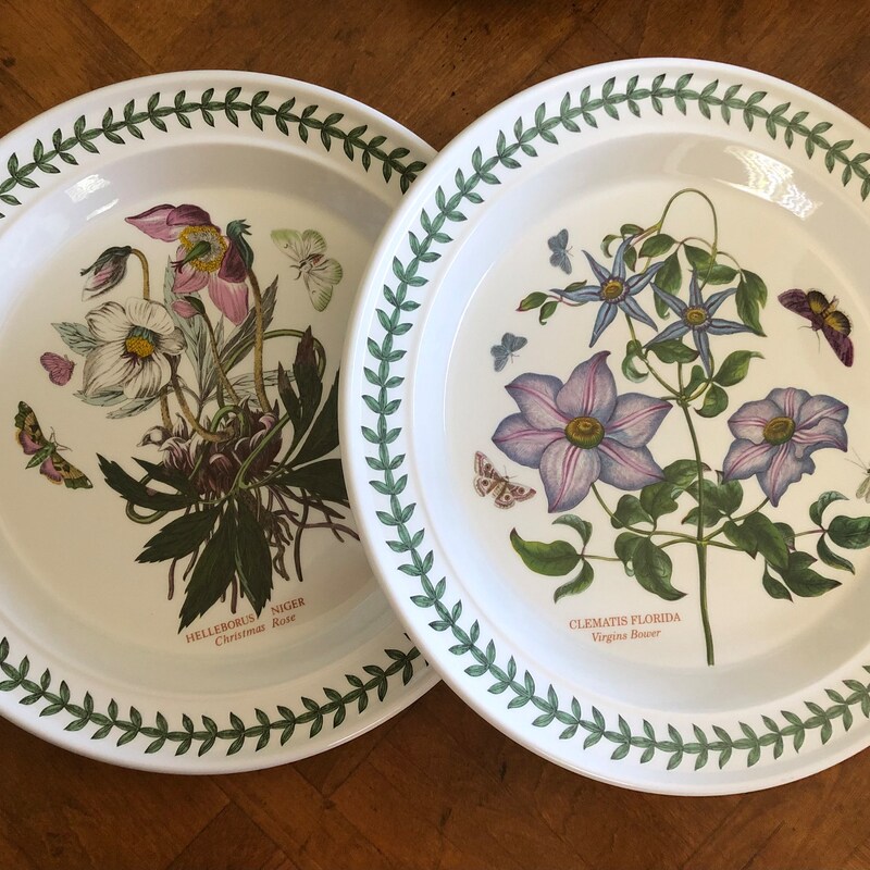 Botanical Plates - Etsy