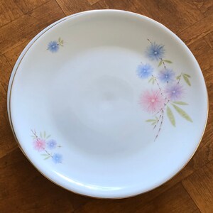 Zeh Scherzer Bavarian Porcelain Pattern 7042 Pink and Blue Floral China ...