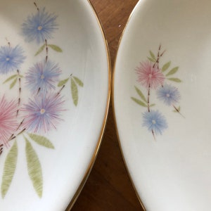 Zeh Scherzer Bavarian Porcelain Pattern 7042 Pink and Blue Floral China ...