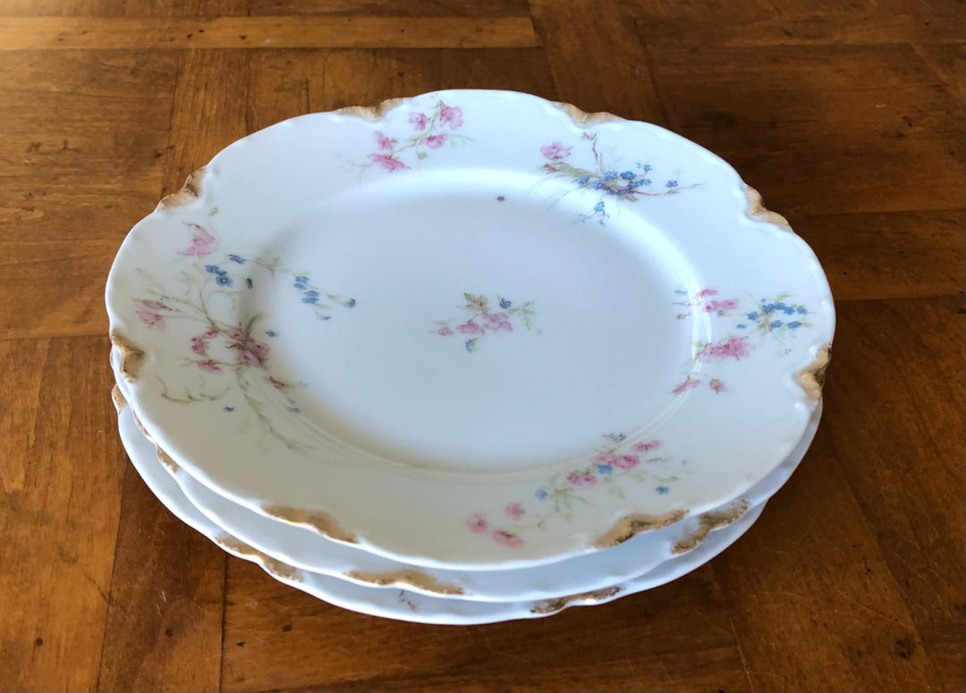 Antique Haviland Pattern Schleiger 78b - Set of Three Salad Plates ...
