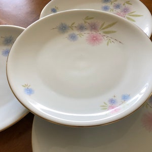 Zeh Scherzer Bavarian Porcelain Pattern 7042 Pink and Blue Floral China ...