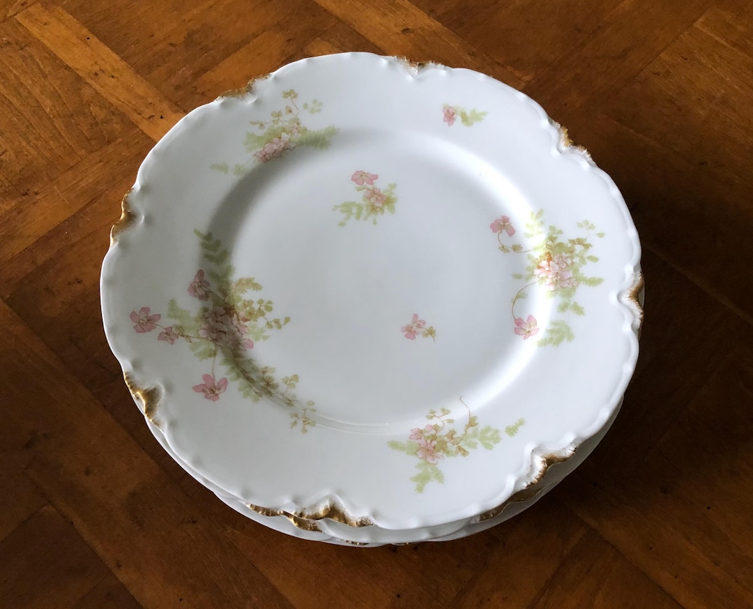 Antique Haviland Schleiger 52b Pattern - Set of Four Dinner Plates ...