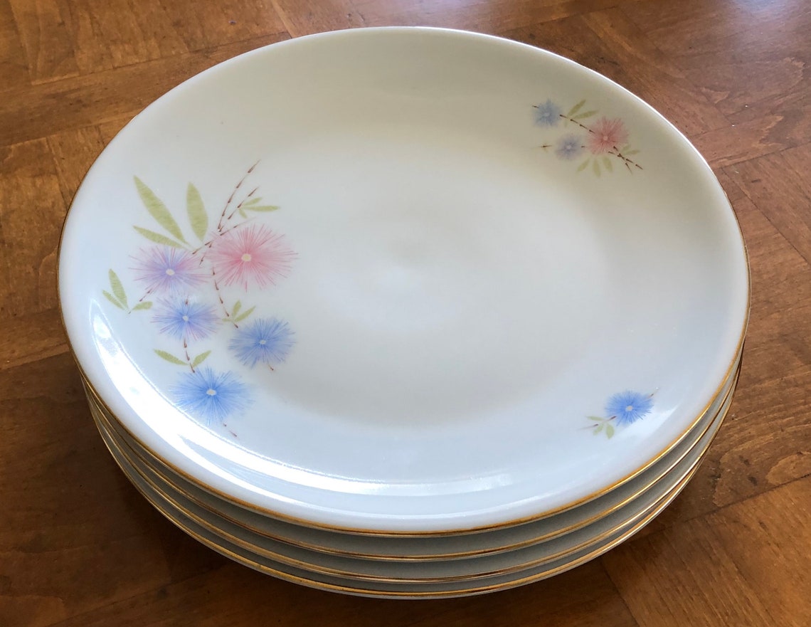 Zeh Scherzer Bavarian Porcelain Pattern 7042 Pink and Blue | Etsy