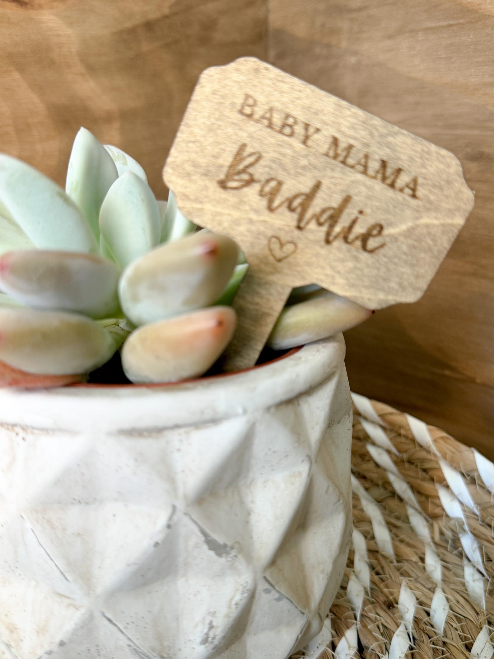 Sassy and Hip Plant Stakes for Moms, Aunties, Sisters, Besties ...