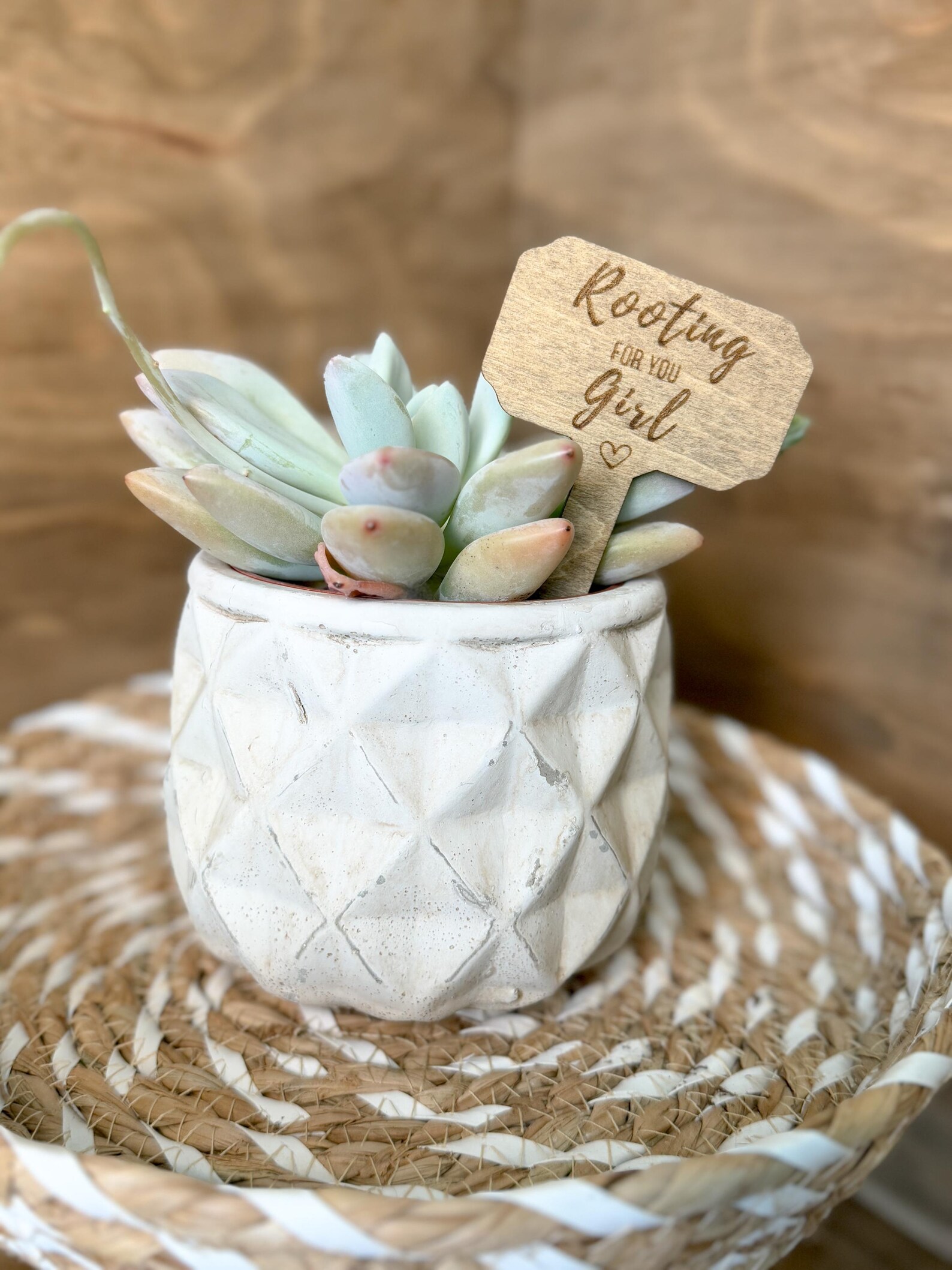 Sassy and Hip Plant Stakes for Moms, Aunties, Sisters, Besties ...