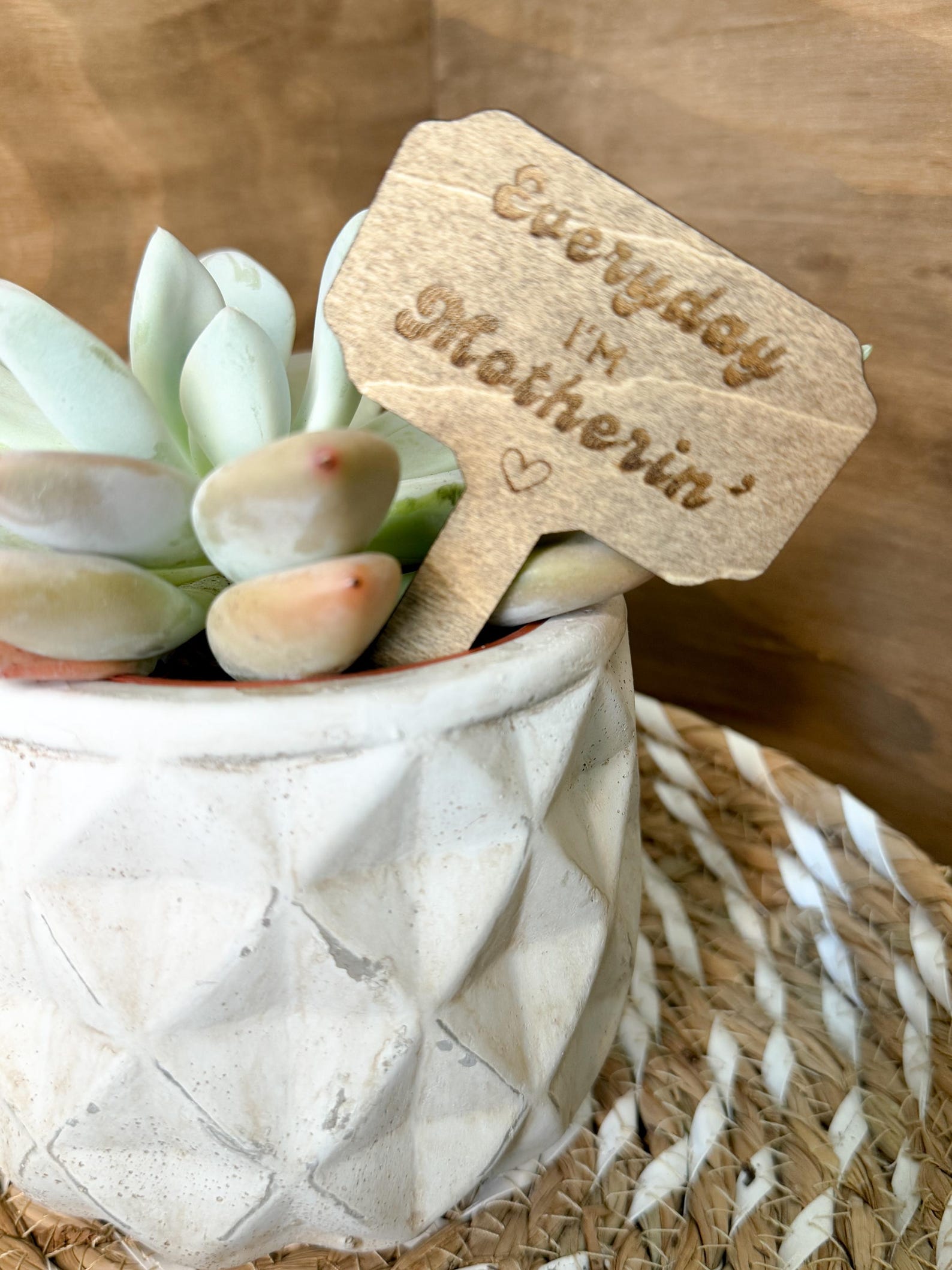 Sassy and Hip Plant Stakes for Moms, Aunties, Sisters, Besties ...