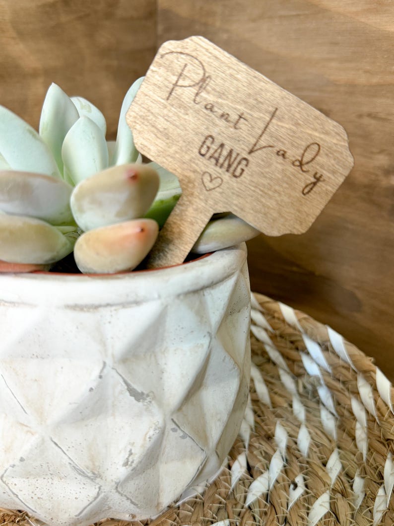 Sassy and Hip Plant Stakes for Moms, Aunties, Sisters, Besties ...