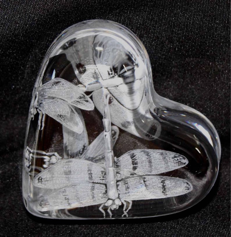 Hand Engraved Dragonfly Paperweight, Baccarat, Dragonflies, Engraved ...