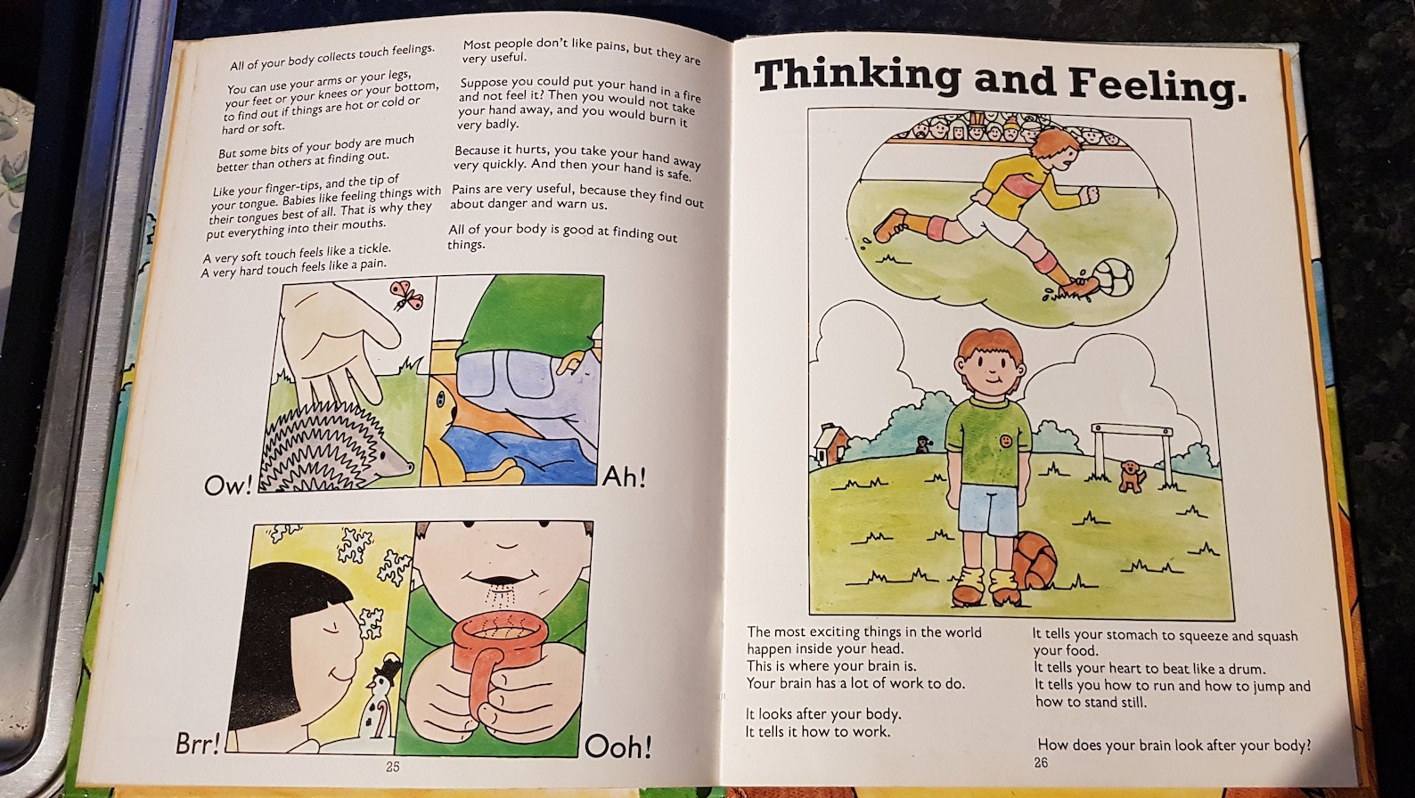 The Body Book by Claire Rayner Original 1978 edition | Etsy