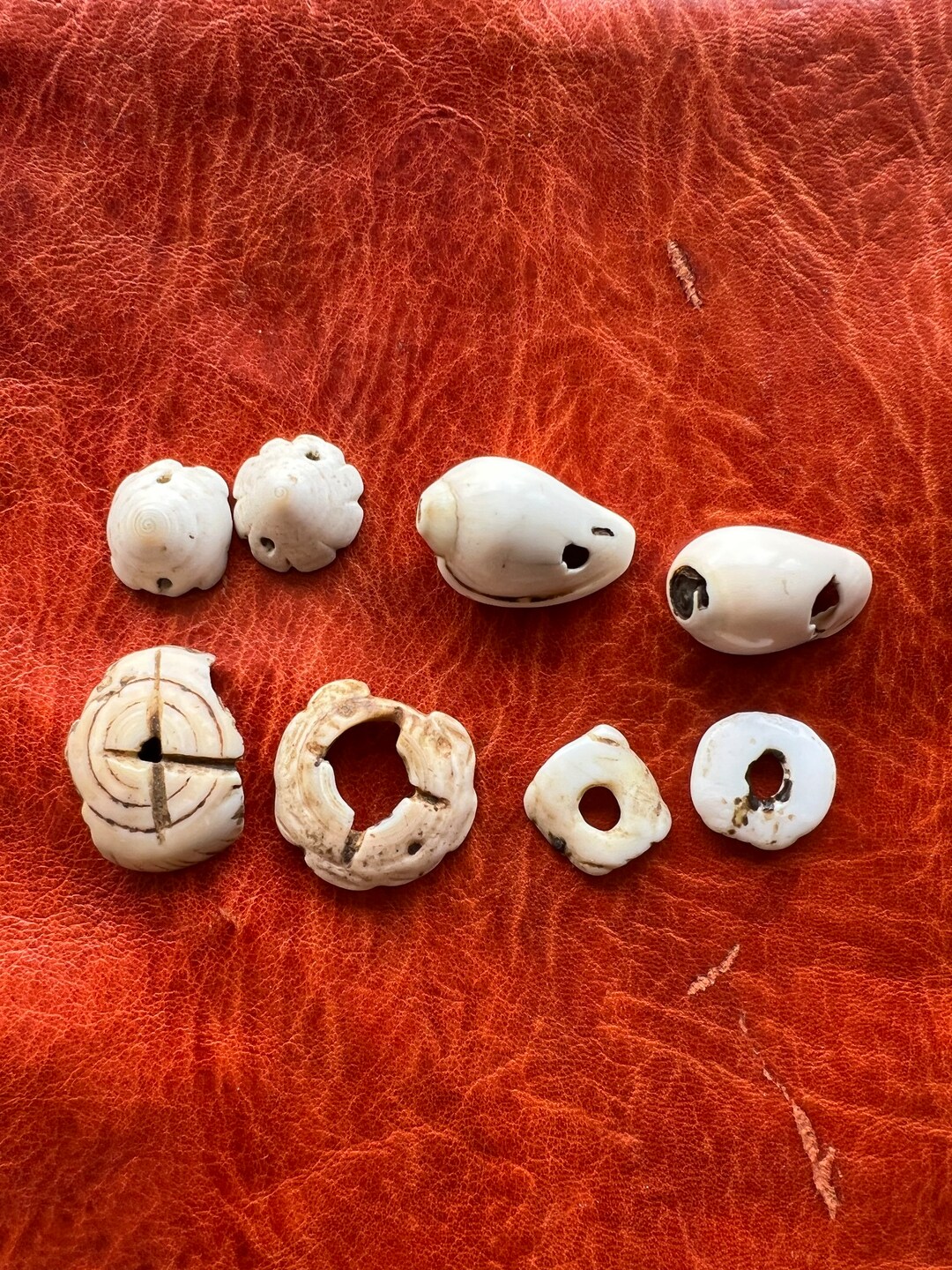 8 Antique Shell BEADS - Carved Mauritanian Saharan - Moroccan, Berber ...