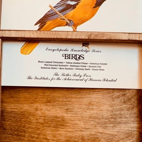 Solid Wood Record Display Wall Hanging | Etsy