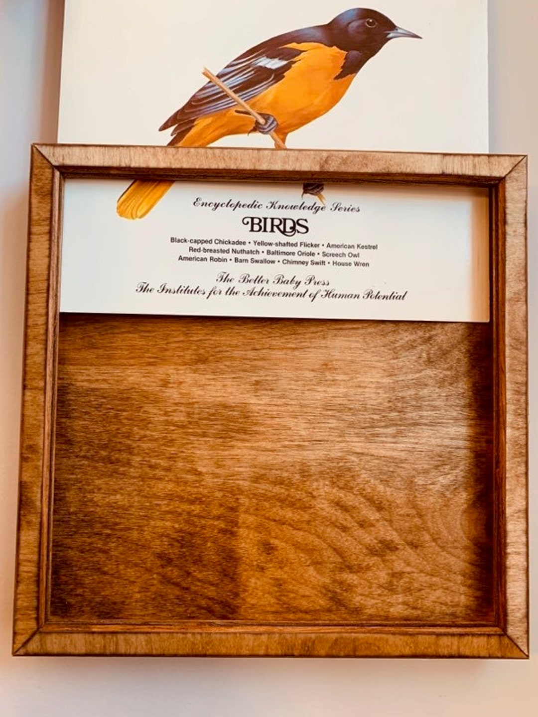 Solid Wood Record Display Wall Hanging - Etsy