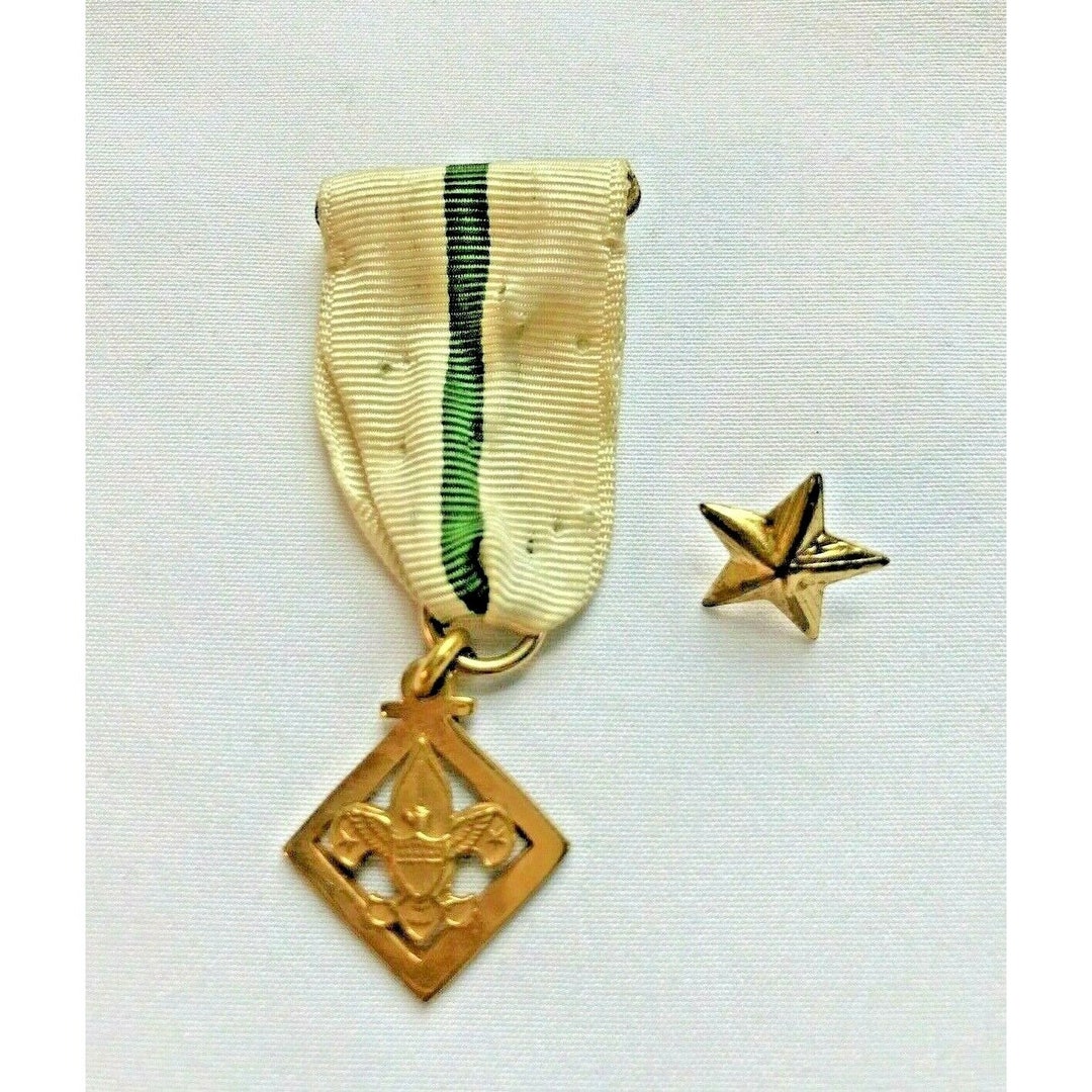 Boy Scout Ribbon Attached Pin Star Pin Den Leader Training Pin 10k ...