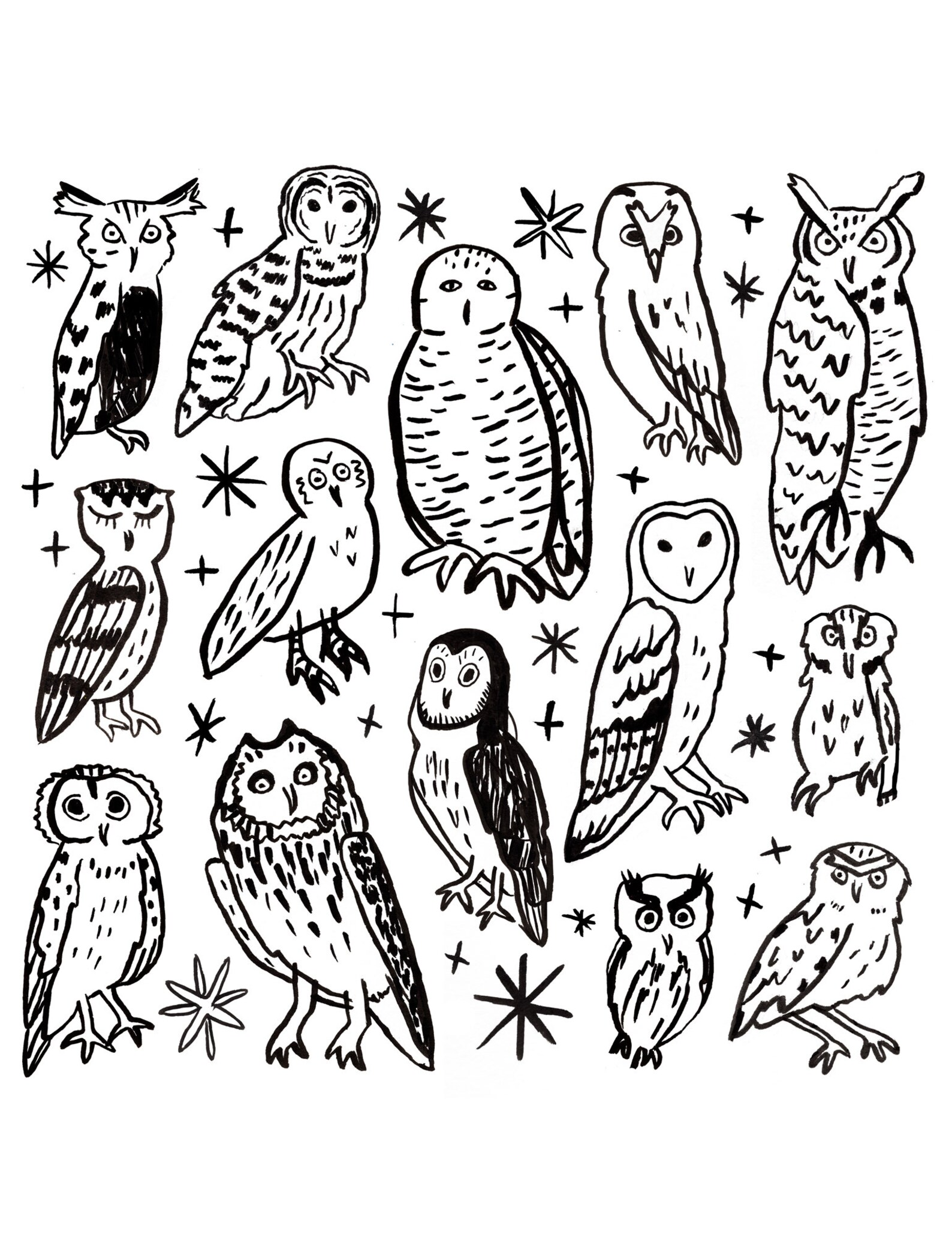 Owl Magic Coloring Page Digital Download - Etsy